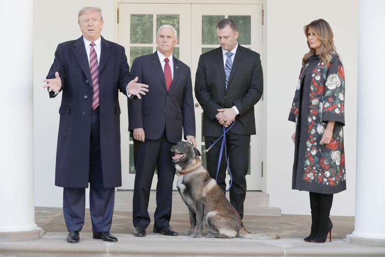 U.S. Army dog, Conan, gets a hero’s welcome by the White House | News ...